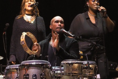 Bruce Springsteen's Sea.Hear.Now homecoming (PHOTOS, VIDEOS, SETLIST)