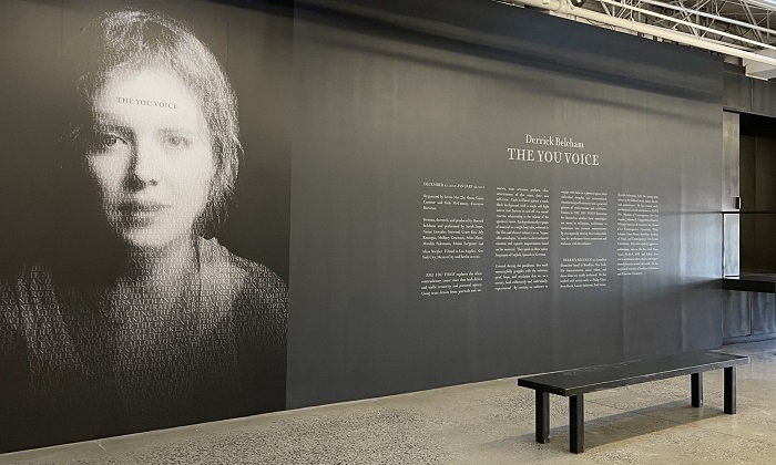 Derrick Belcham's 'The You Voice' video installation gets under your skin