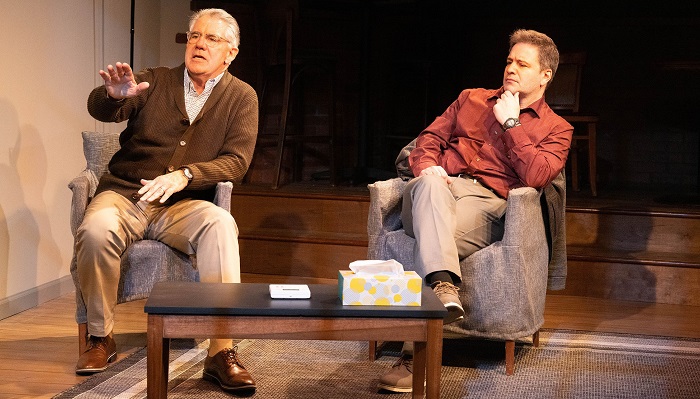 Psychotherapy gets comedic treatment in new play 'Our Shrinking ...