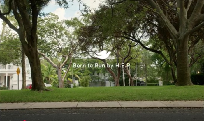 Bruce Springsteen's 'Born to Run' (20 covers)